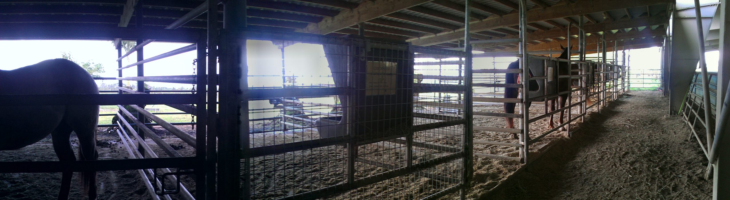 IMAG4780 - Miranda Country Store