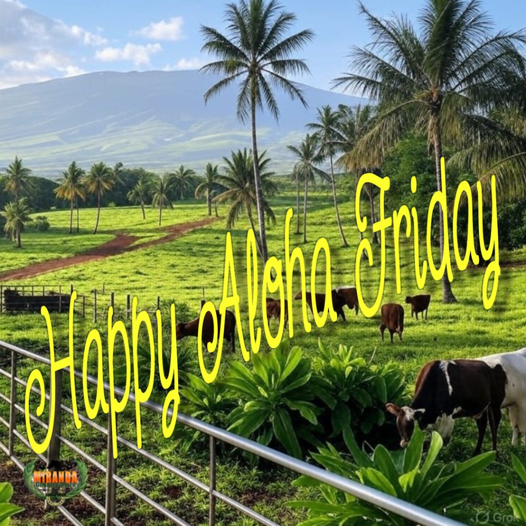 Happy Aloha Friday from Miranda Country Store! - Miranda Country Store