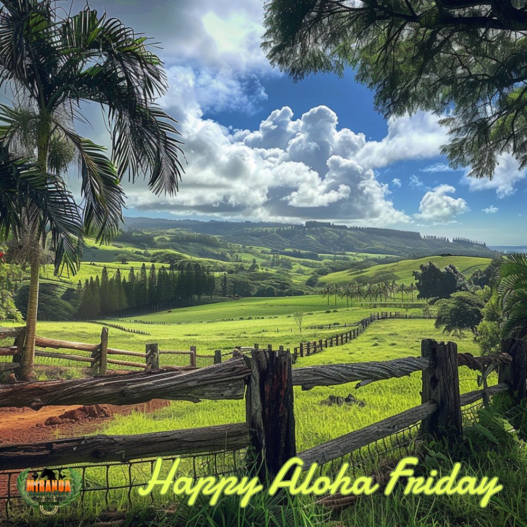 Happy Aloha Friday! - Miranda Country Store