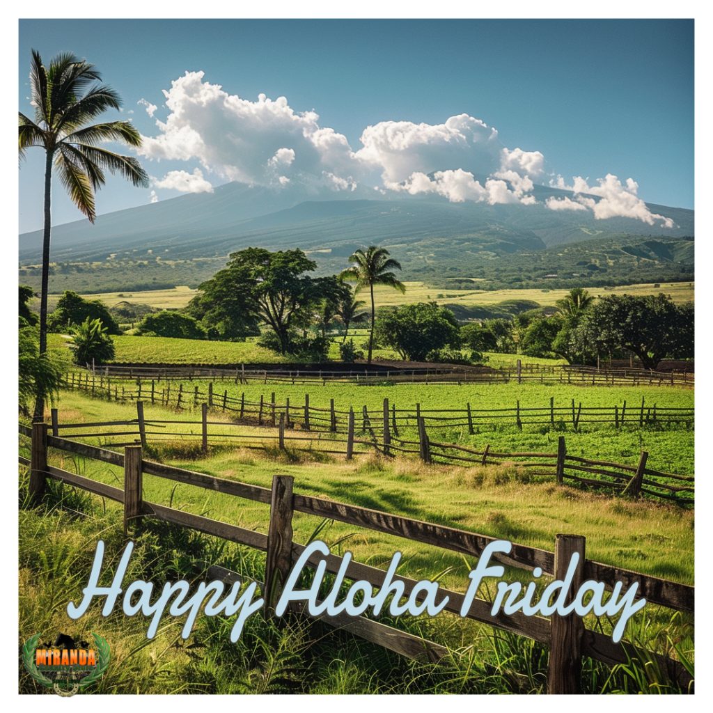 Happy Aloha Friday from Miranda Country Store! - Miranda Country Store