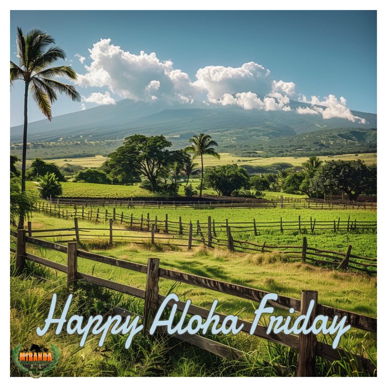 Happy Aloha Friday from Miranda Country Store! - Miranda Country Store