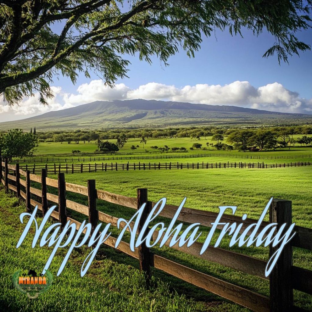 Happy Aloha Friday from Miranda Country Store! - Miranda Country Store