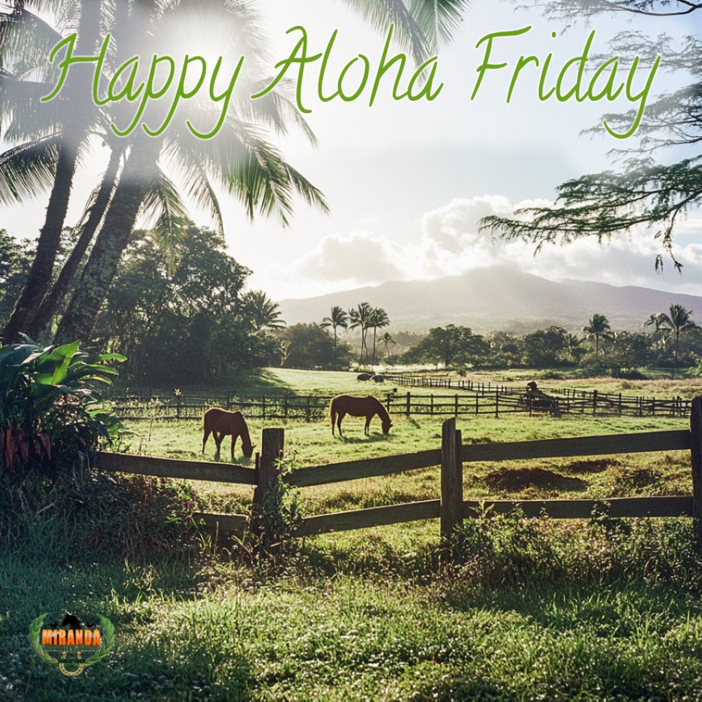 Happy Aloha Friday from Miranda Country Store! - Miranda Country Store